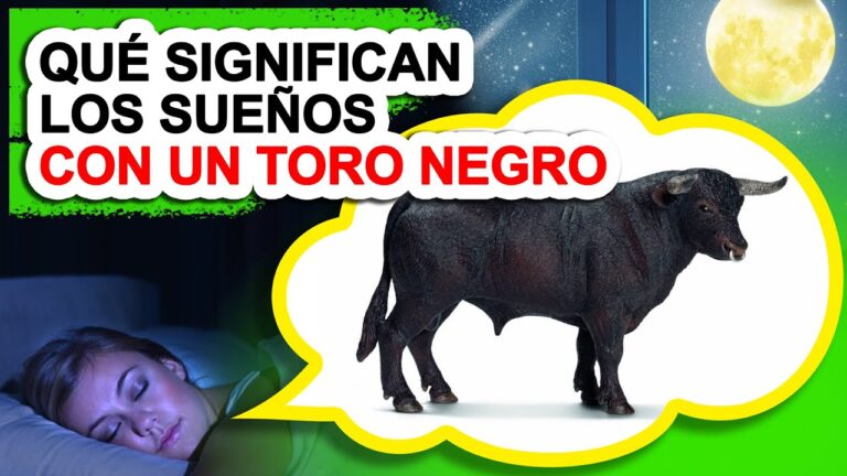 Un Toro Negro en Sueños: ¿Qué Significa Este Símbolo? - infosuenos.es ...